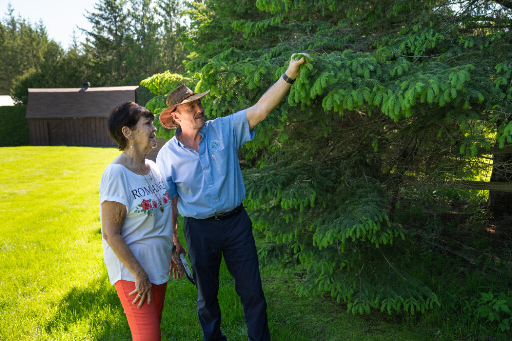 Tree Care Service | Arborist Service | Pruning | Trimming